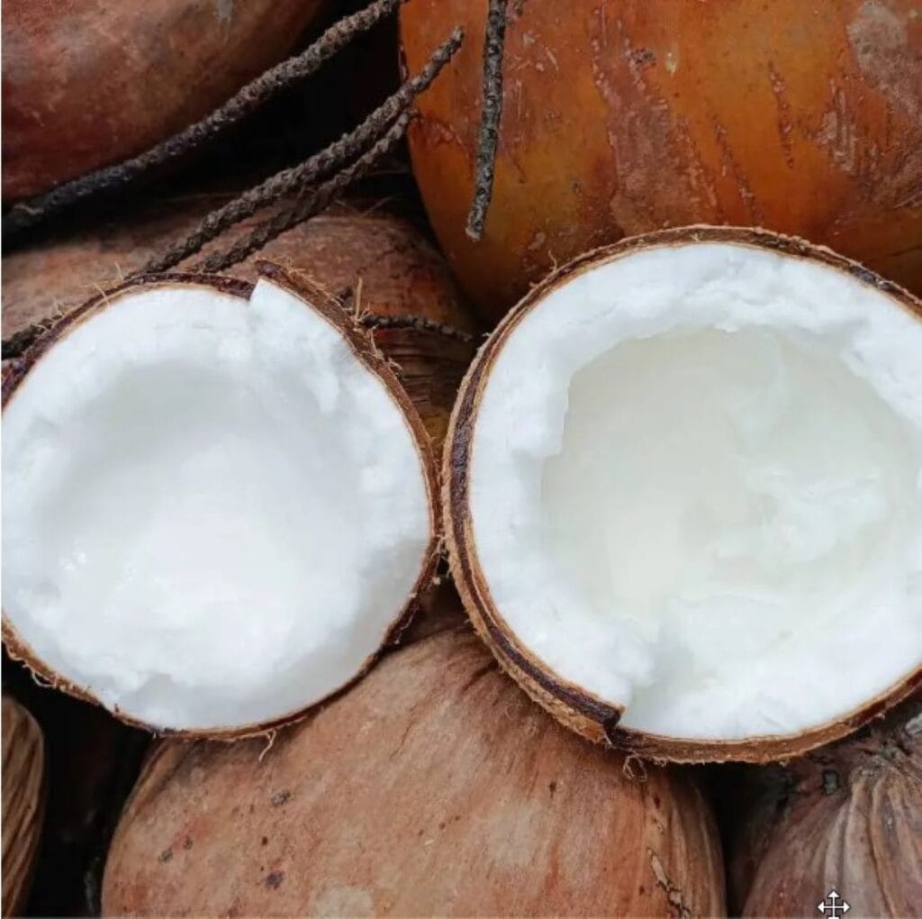 7 Advised Day Trips From Ho Chi Minh City To Mekong Delta